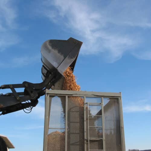 West Coast Rollout Bucket | Rockland Manufacturing